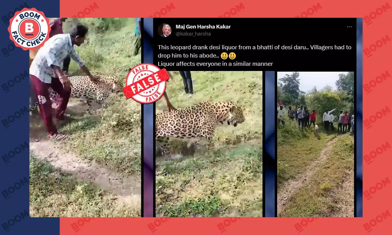 Video of leopard being teased in Madhya Pradesh viral with false claim